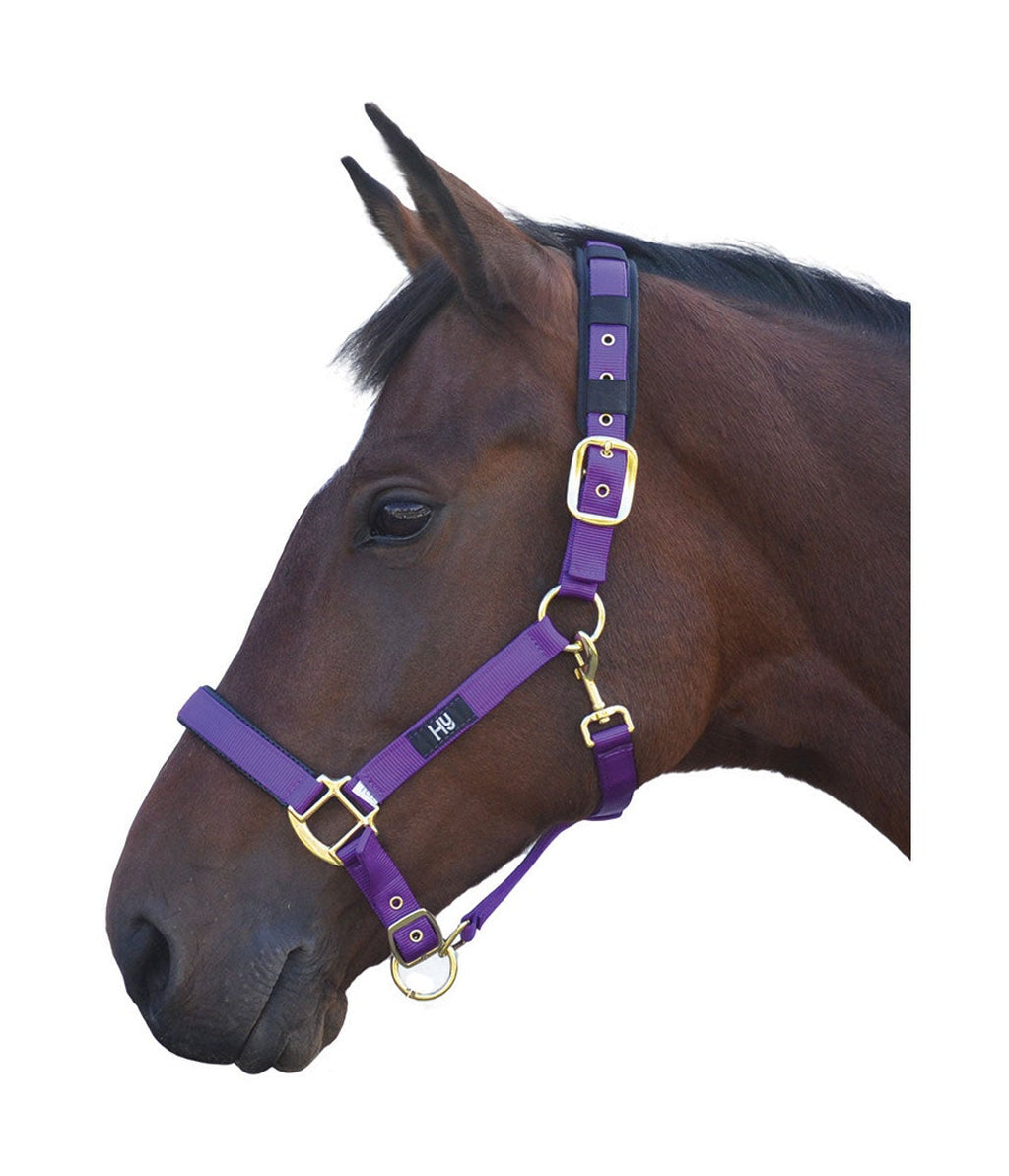 Horse Tack Collection – Premium Saddles, Bridles & More | Fetlox UK ...